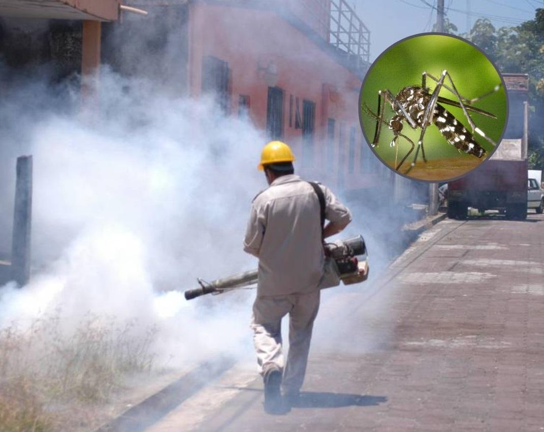 Dengue En Veracruz Casos Aumentan 600 Por Ciento En 2023 E Veracruz Mx