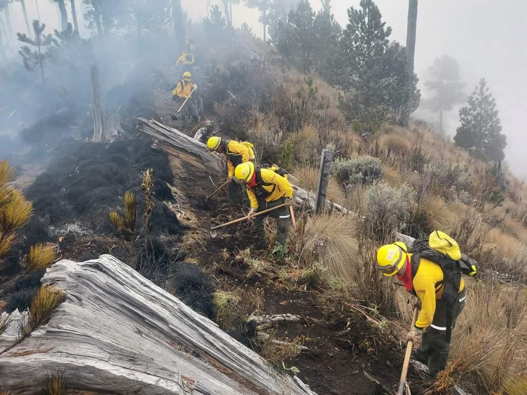 Incendios Forestales Veracruz Entre Los 10 Primeros Lugares A Nivel